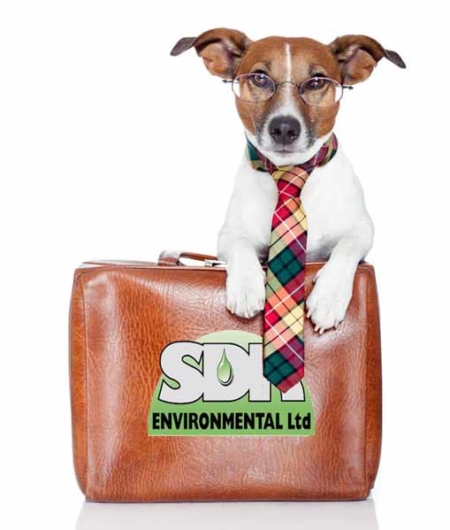 Dog Collection Services - SDK Environmental